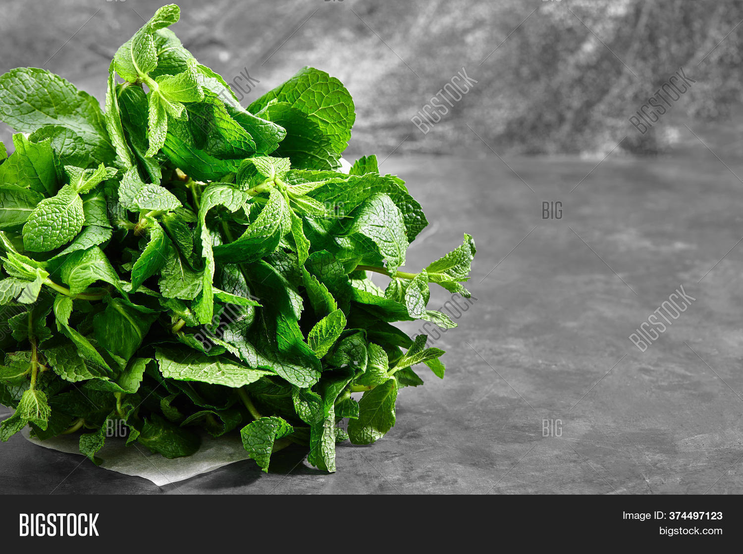 Bunch Mint, Spearmint Image & Photo (Free Trial) | Bigstock