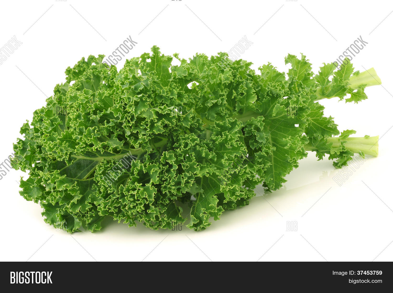 Freshly Harvested Kale Image & Photo (Free Trial) | Bigstock