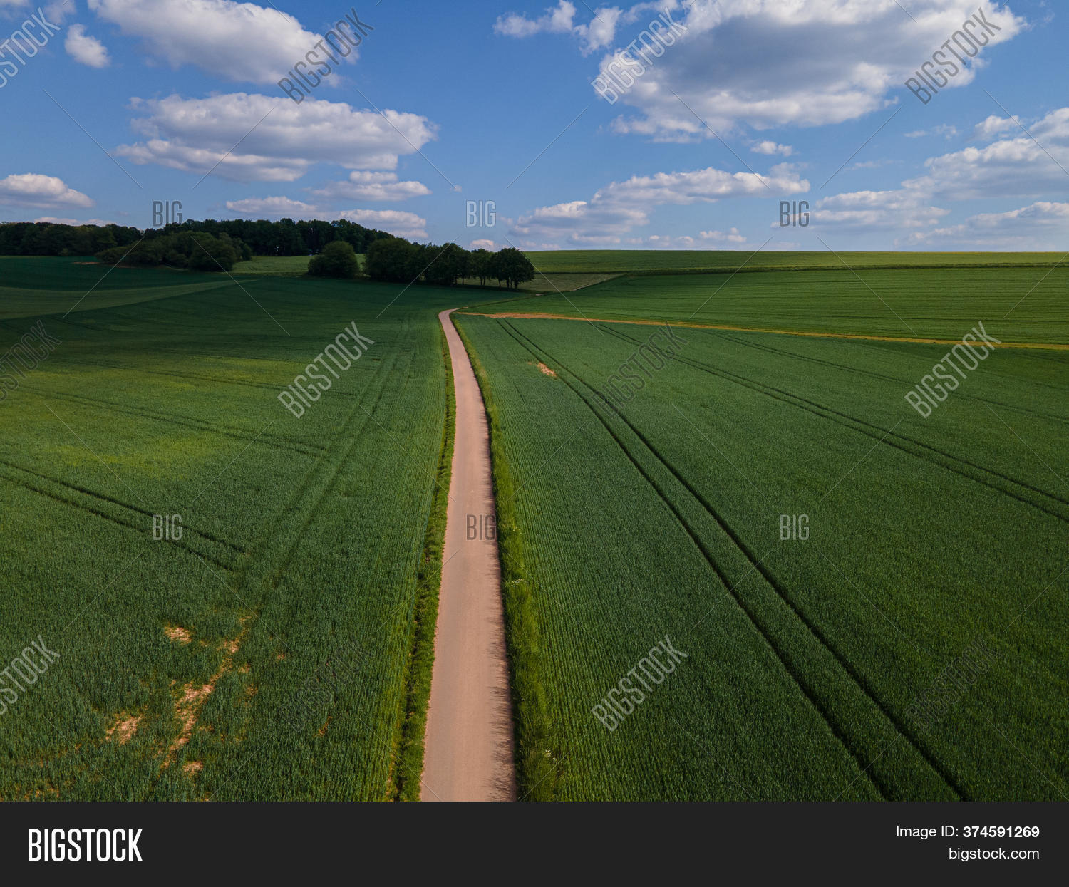 Path Through Farmland Image & Photo (Free Trial) | Bigstock