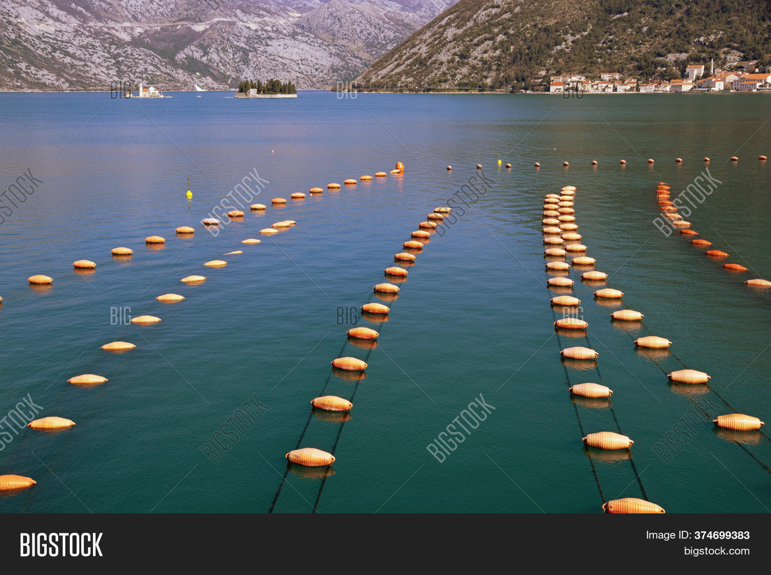 Mussel Farm, Rope Image & Photo (Free Trial) | Bigstock