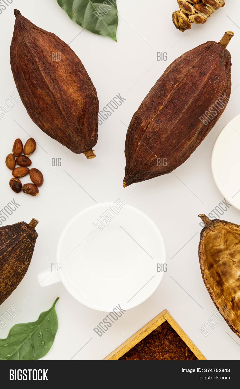 Cocoa Beans Pods On Image & Photo (Free Trial) | Bigstock