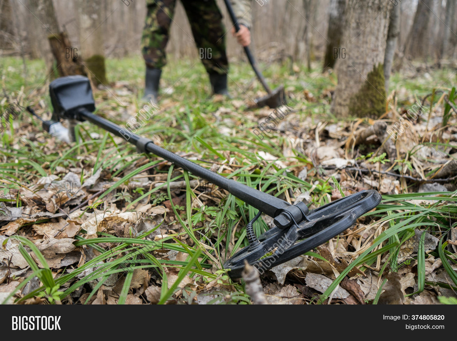 Metal Detector Forest Image & Photo (Free Trial) | Bigstock