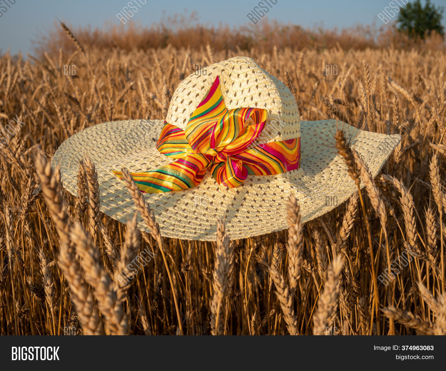 Straw Hat Colorful Image & Photo (Free Trial) | Bigstock