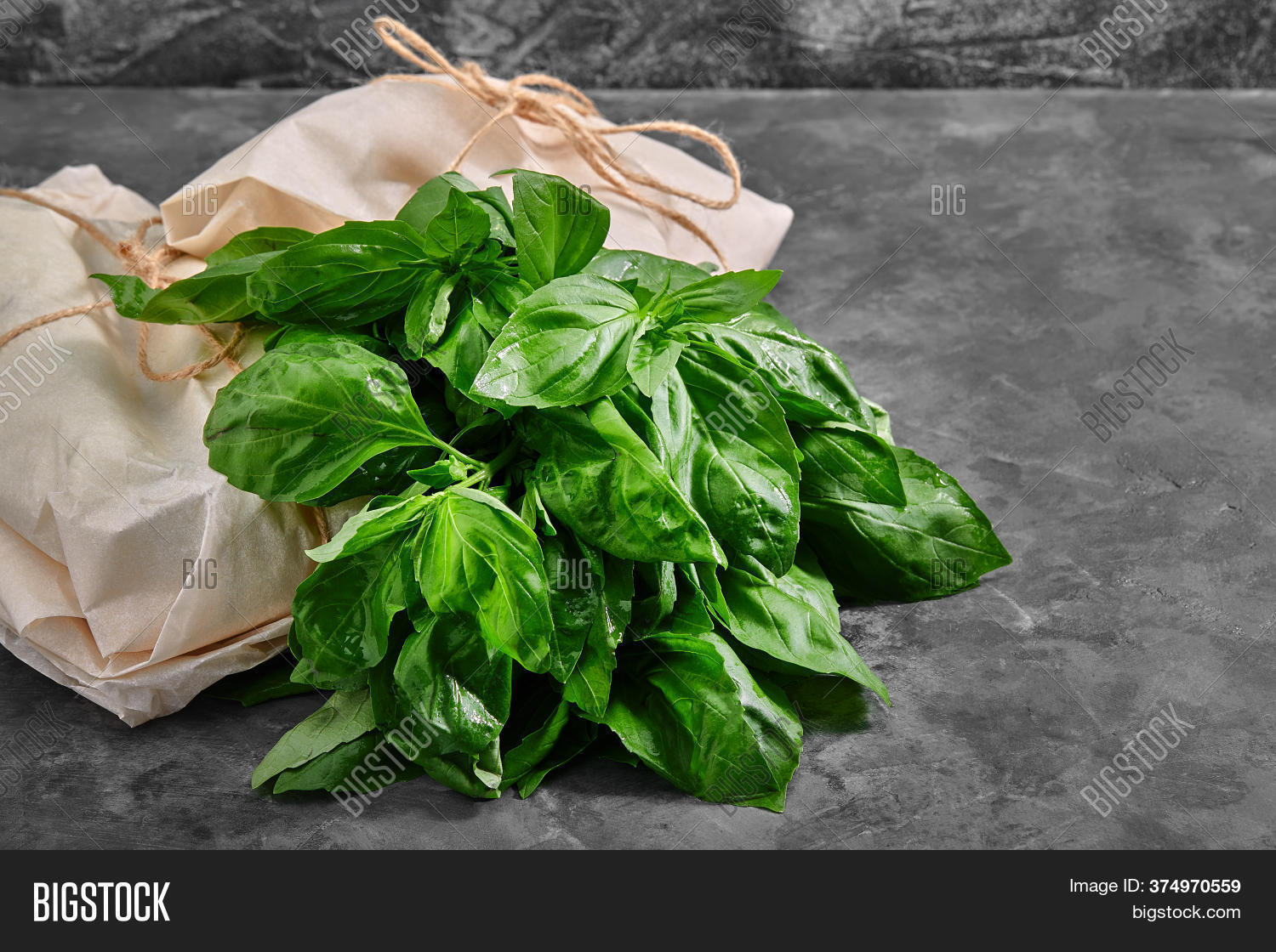 Fresh Basil On Dark Image & Photo (Free Trial) | Bigstock