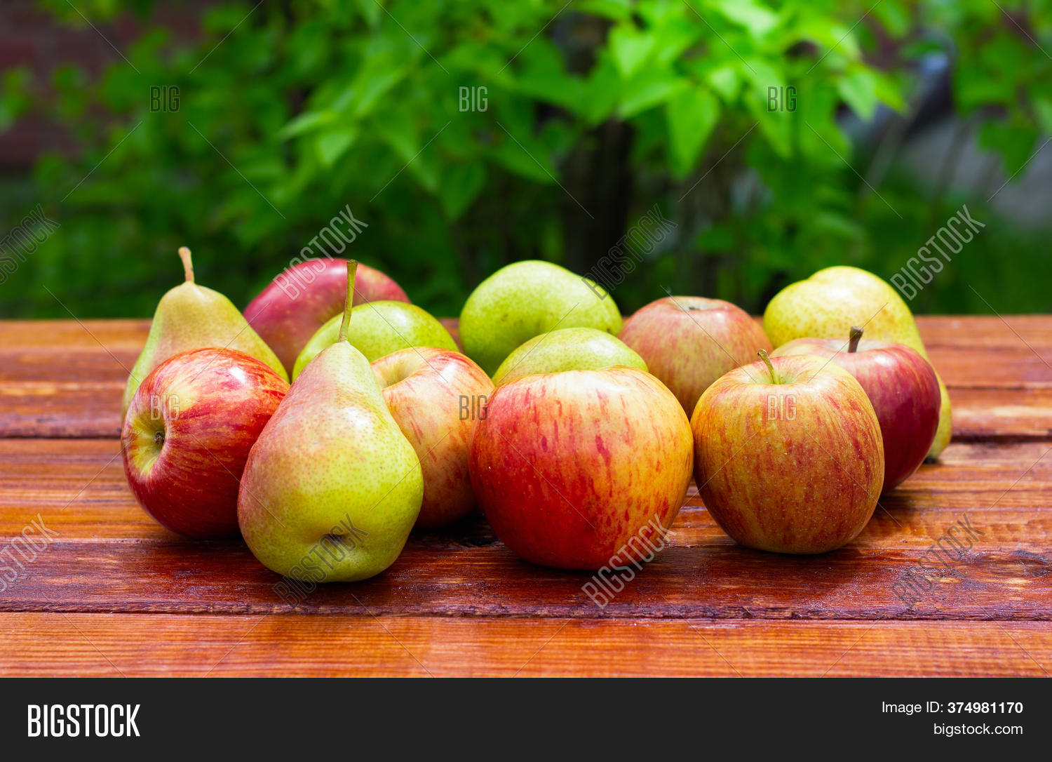 Red Apples Green Pears Image & Photo (Free Trial) | Bigstock