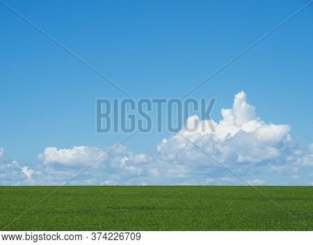 Green Field Flat Image & Photo (Free Trial) | Bigstock