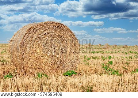 Round Straw Bales On Image & Photo (Free Trial) | Bigstock