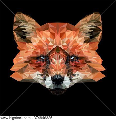 Drawing Fox Polygons Vector & Photo (Free Trial) | Bigstock