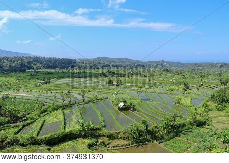 Traditional Farmer Hut Image & Photo (Free Trial) | Bigstock