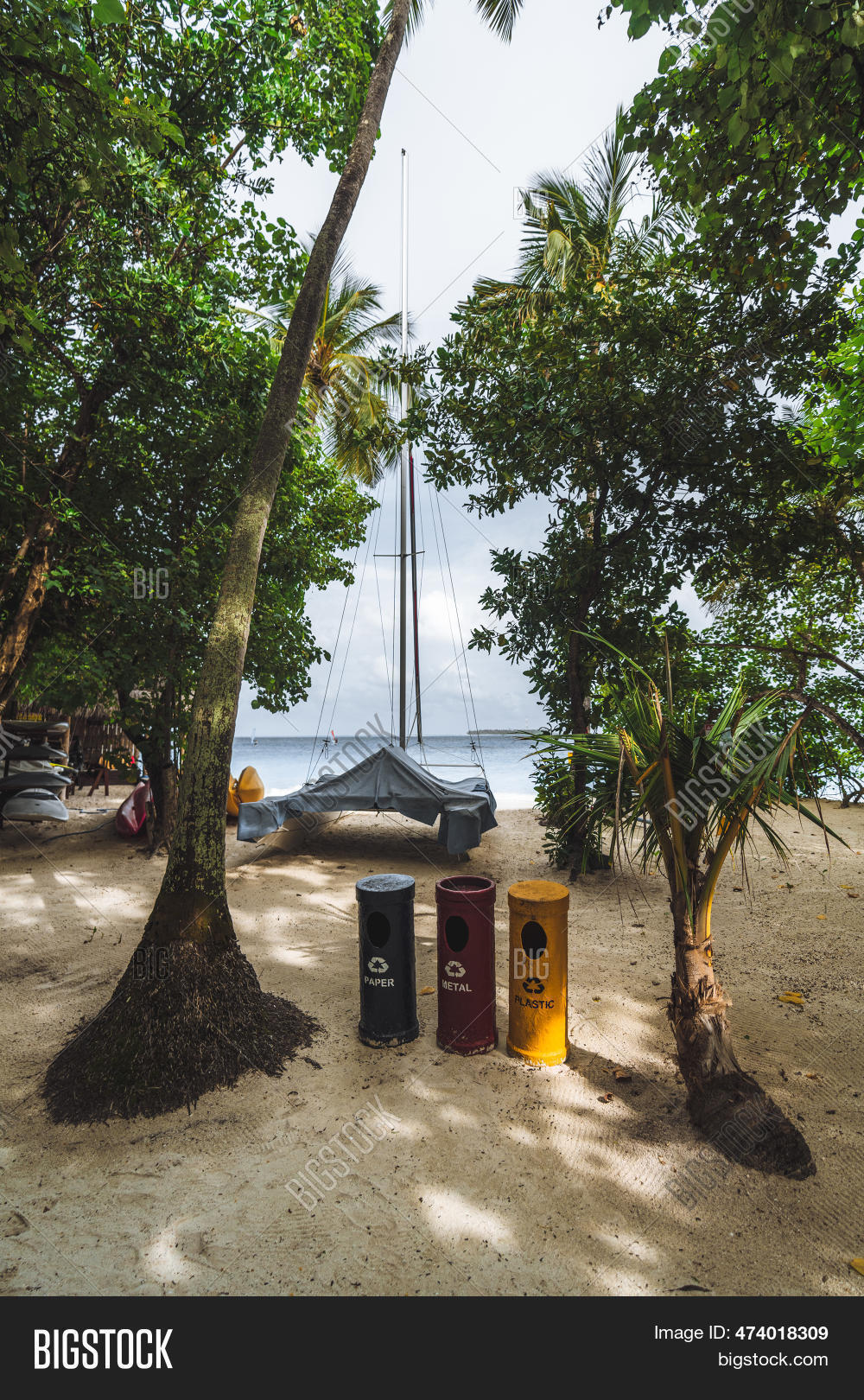 Vertical Wide-angle Image & Photo (Free Trial) | Bigstock