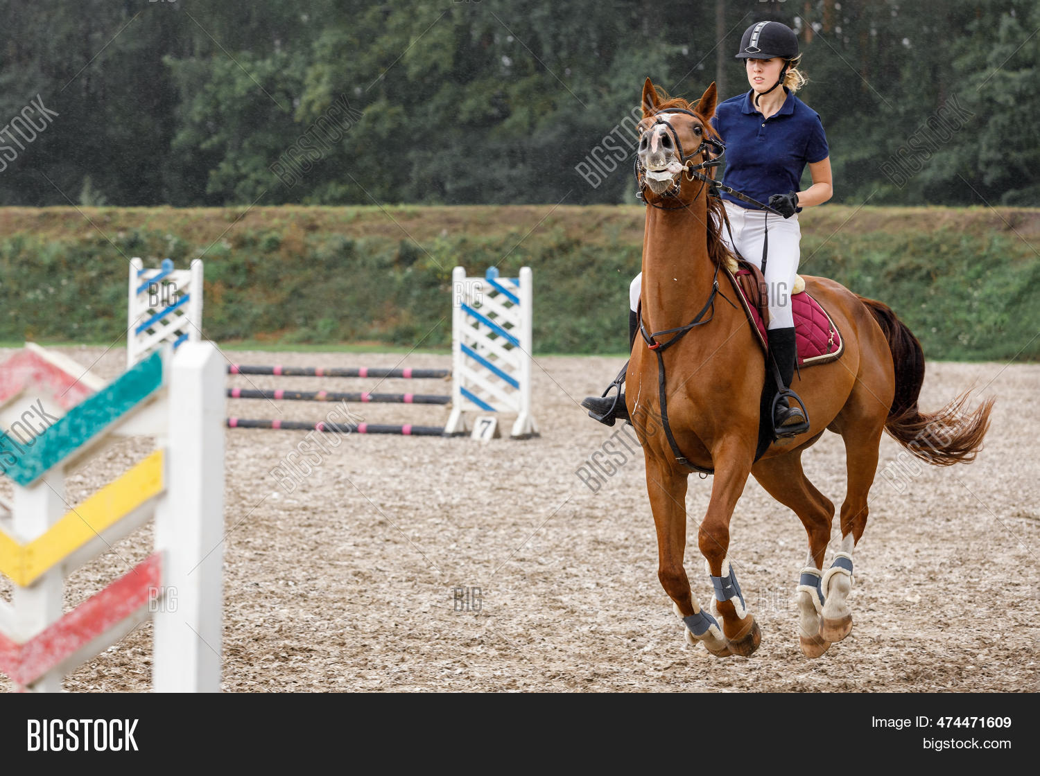 Young Horse Rider Girl Image & Photo (Free Trial) | Bigstock