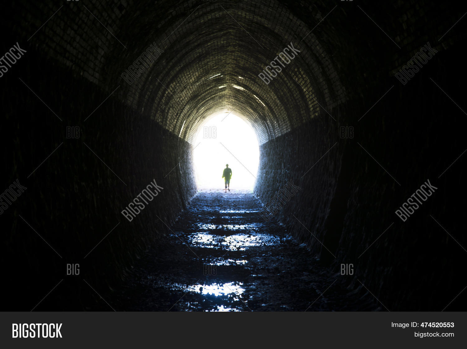 Swan View Tunnel - Image & Photo (Free Trial) | Bigstock