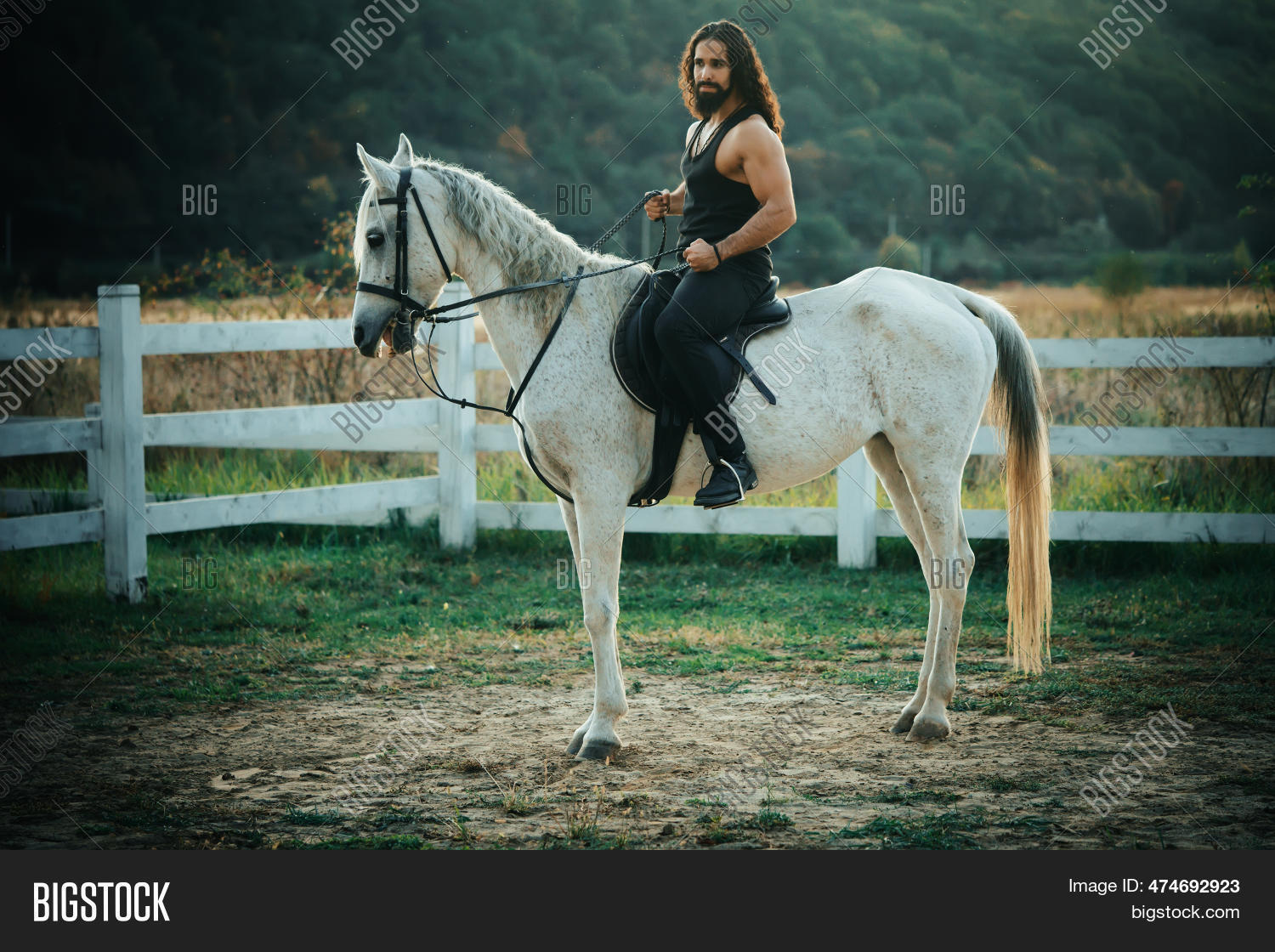 Muscular Torso Male Image & Photo (Free Trial) | Bigstock