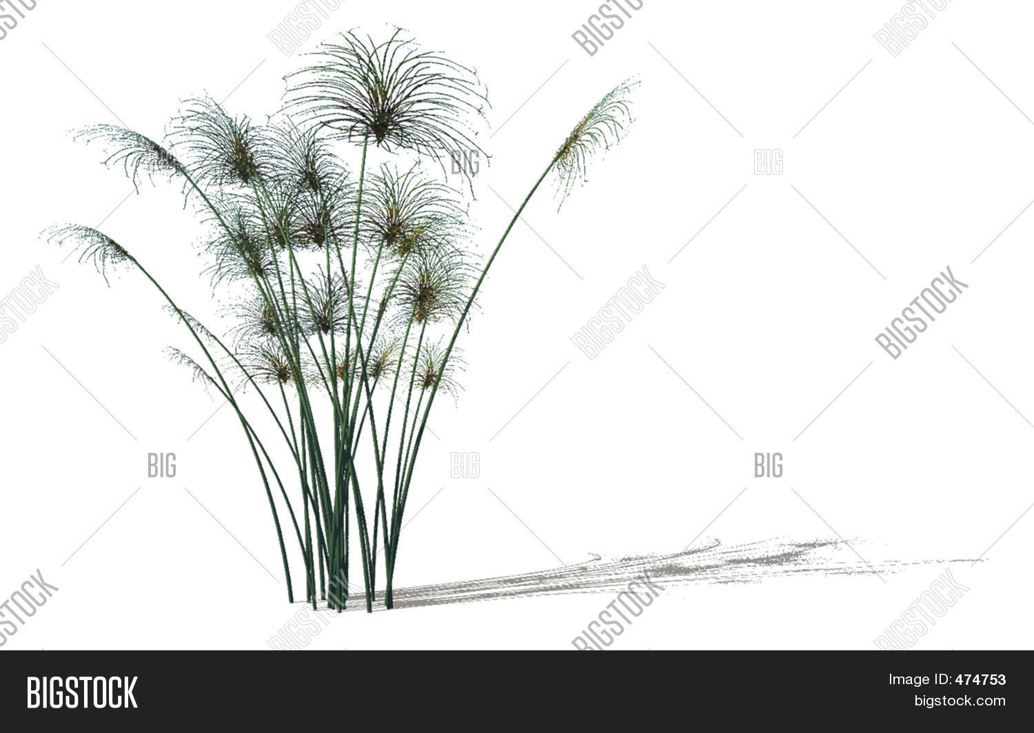Papyrus Image & Photo (Free Trial) | Bigstock