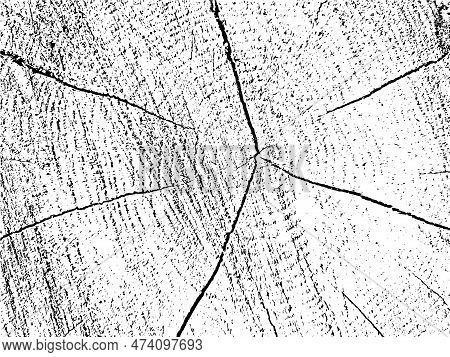 Vetor e foto de Raw (avaliação gratuita) | Bigstock