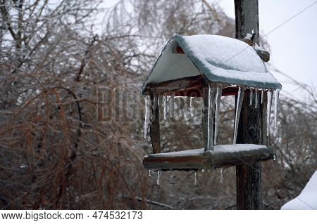 Feeder For Birds And Forest Animals, Covered With A Layer Of Ice ...