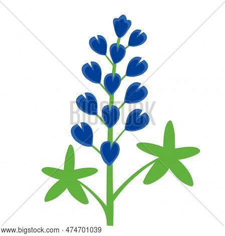 Bluebonnet Images, Illustrations & Vectors (Free) - Bigstock