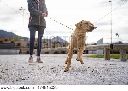 Low Angle View Cute Image & Photo (Free Trial) | Bigstock