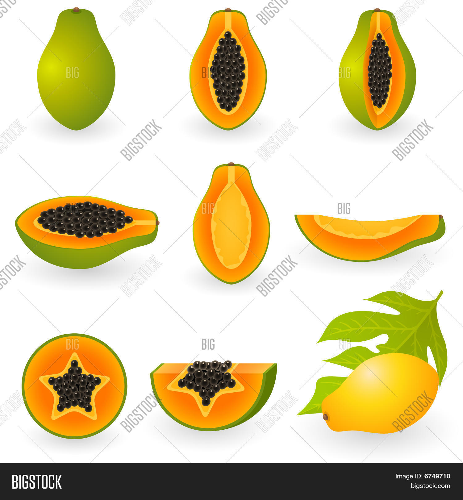 Icon Set Papaya Vector & Photo (Free Trial) | Bigstock