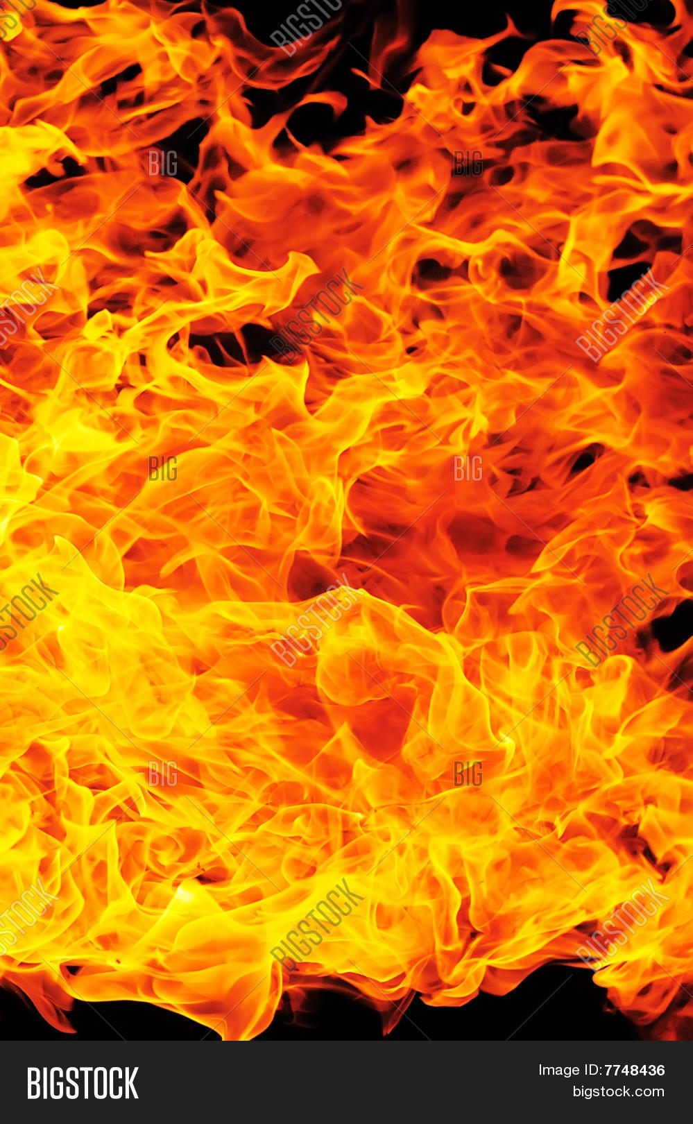 Fire Flame Image & Photo (Free Trial) | Bigstock