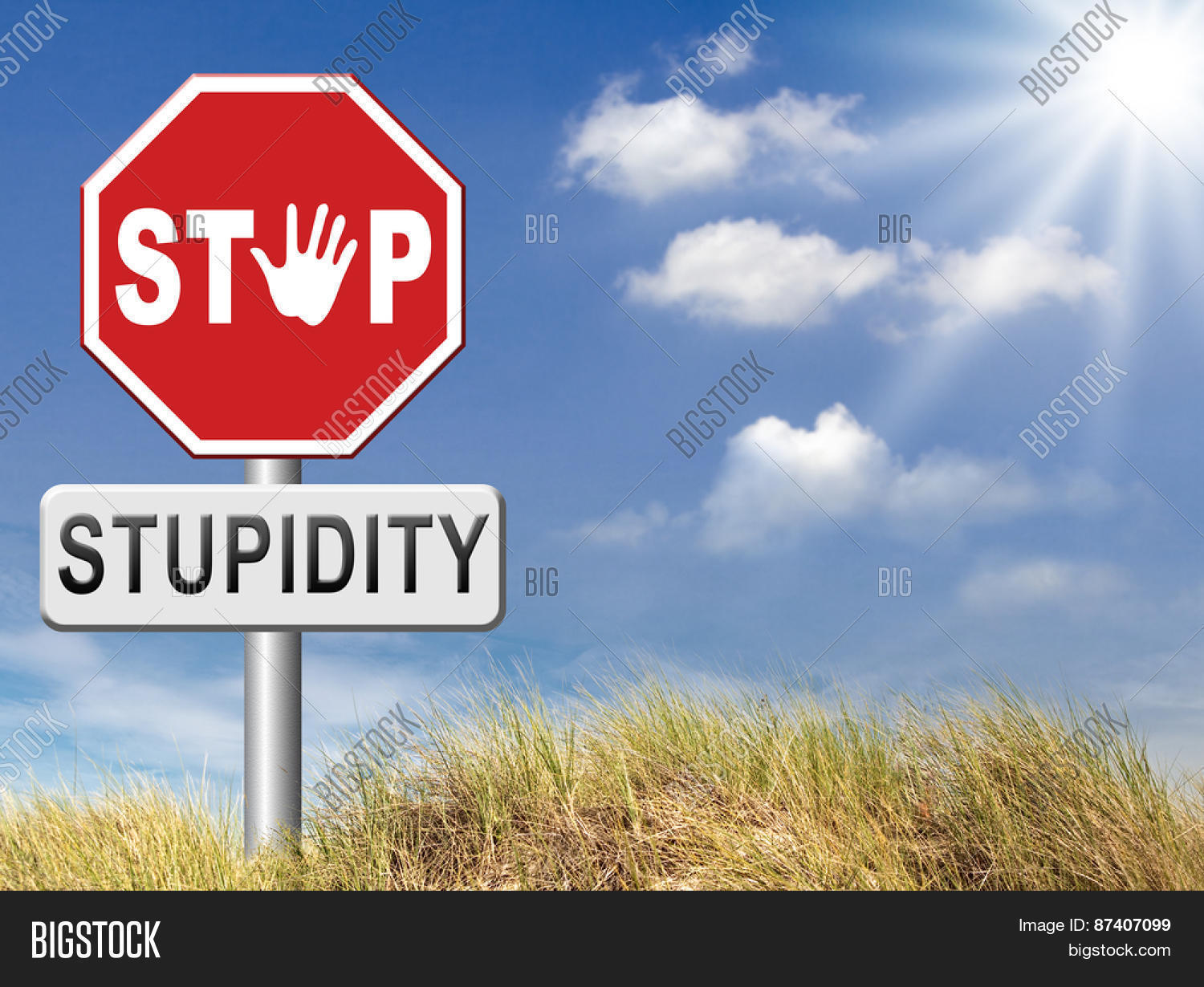 No Stupidity Stop Image & Photo (Free Trial) | Bigstock