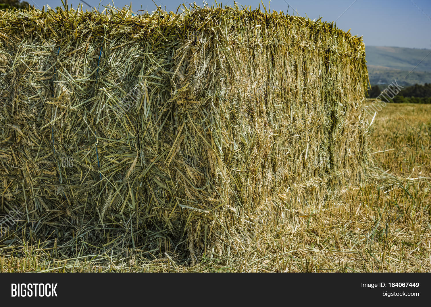 Pressed Straw Image & Photo (Free Trial) | Bigstock