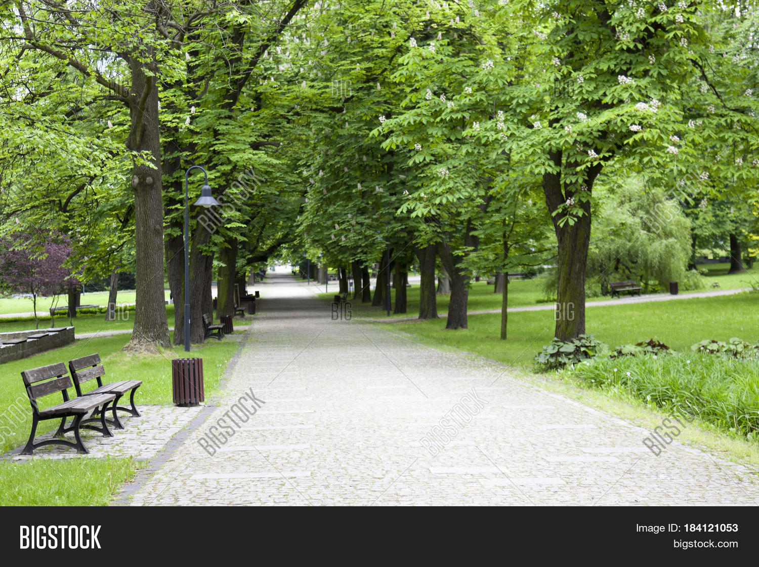 Park Spring Image & Photo (Free Trial) | Bigstock