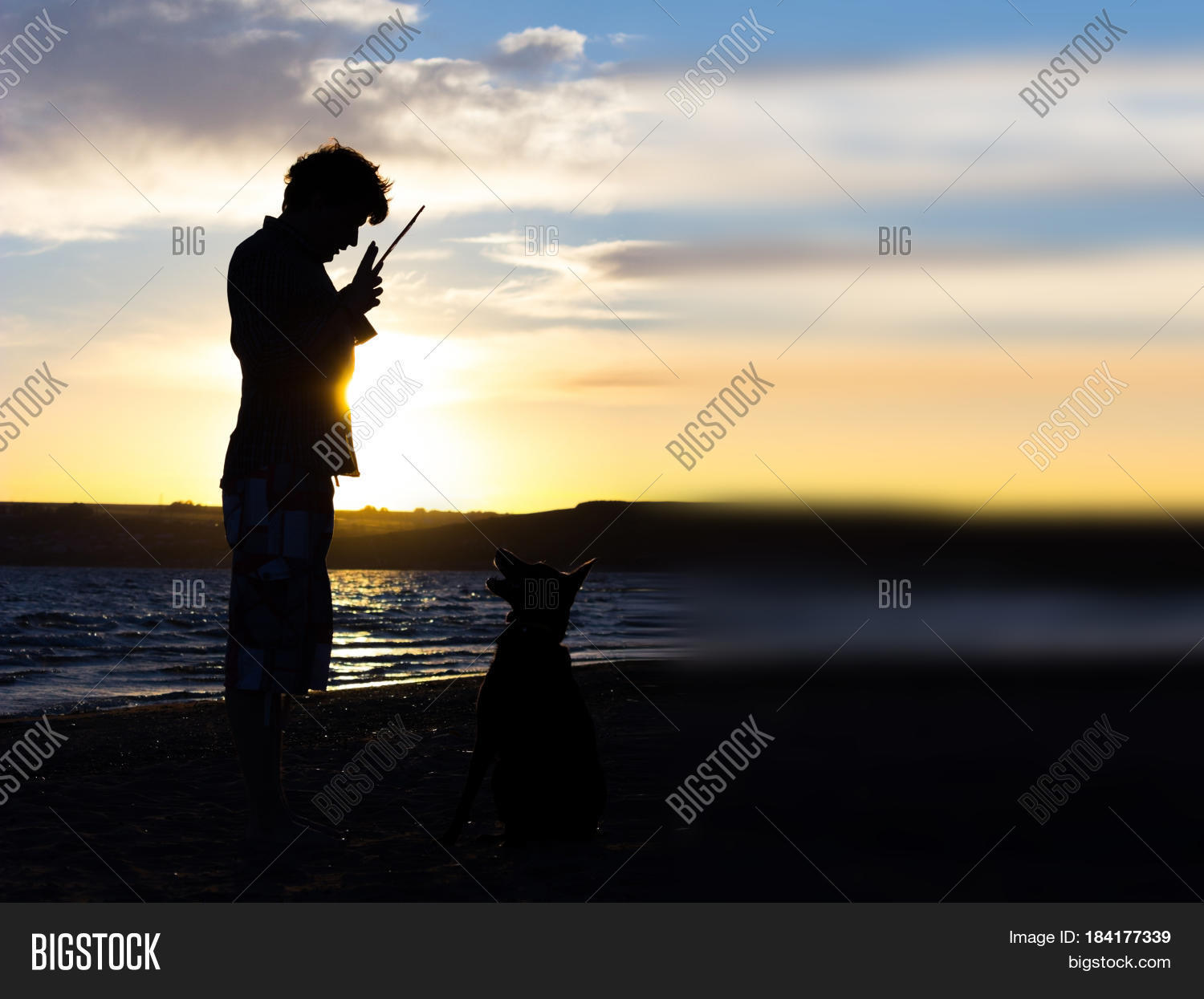 Sihouette Dog Host On Image & Photo (Free Trial) | Bigstock