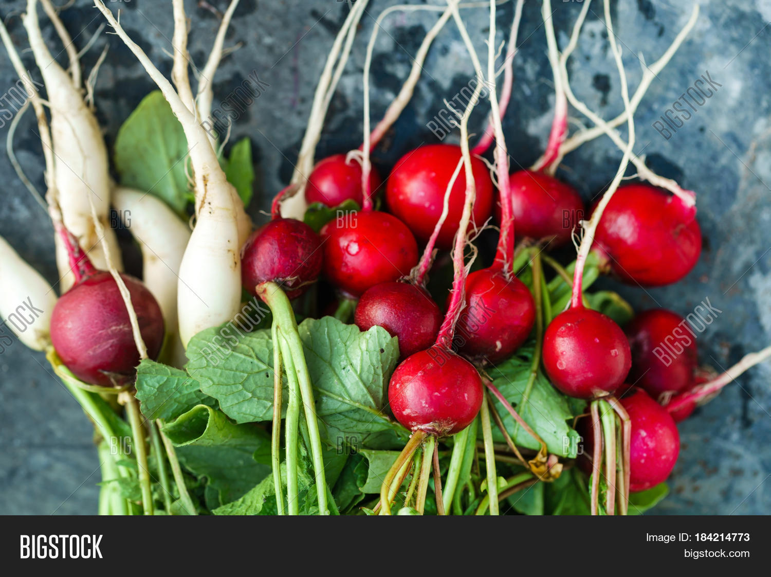 Fresh Radish Image & Photo (Free Trial) | Bigstock