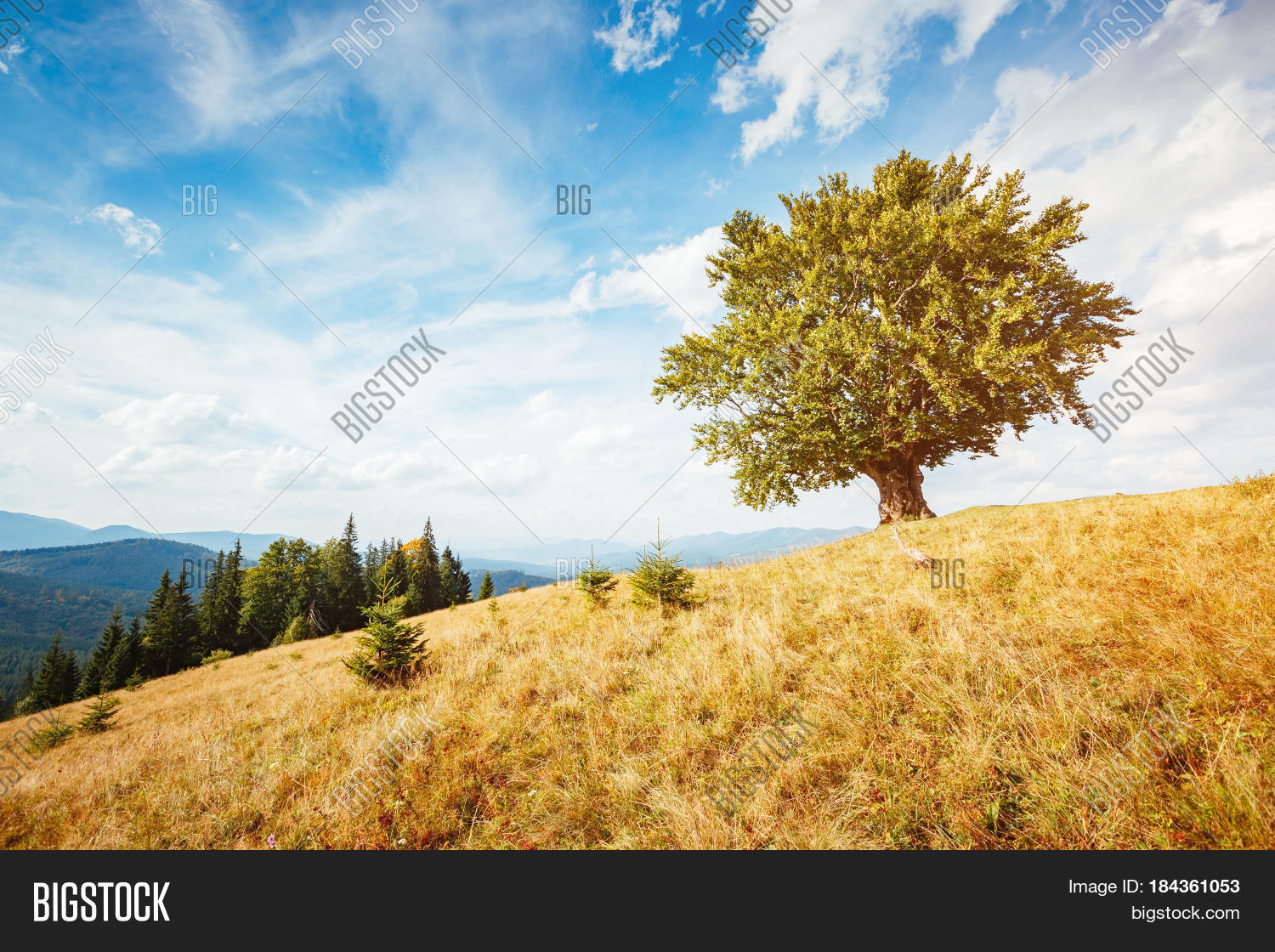 Bright Rolling Image & Photo (Free Trial) | Bigstock