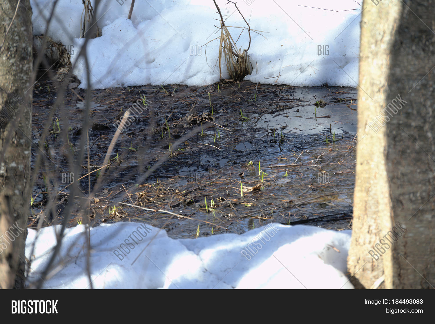 First Streams Begin Image & Photo (Free Trial) | Bigstock