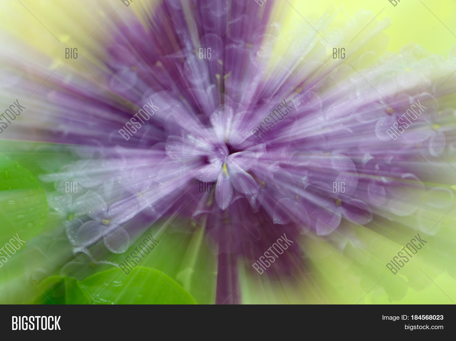 Imagen y foto Abstract Star Blur (prueba gratis) | Bigstock