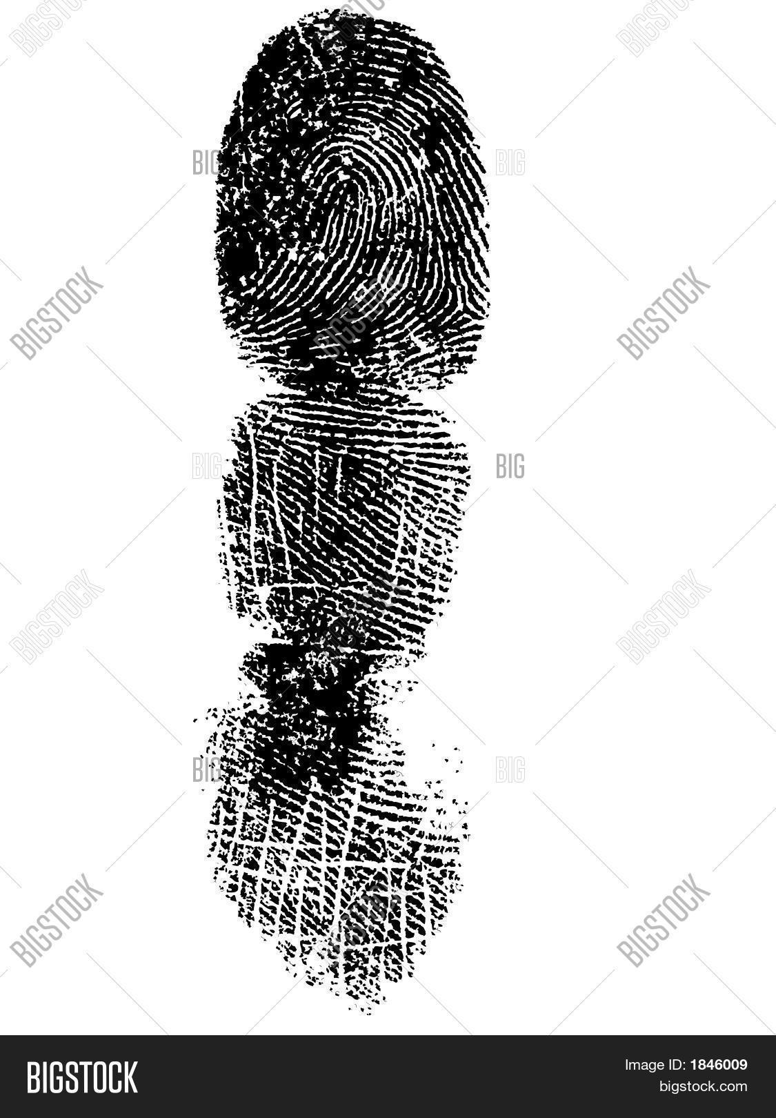 Full Fingerprint 5 Vector & Photo (Free Trial) | Bigstock