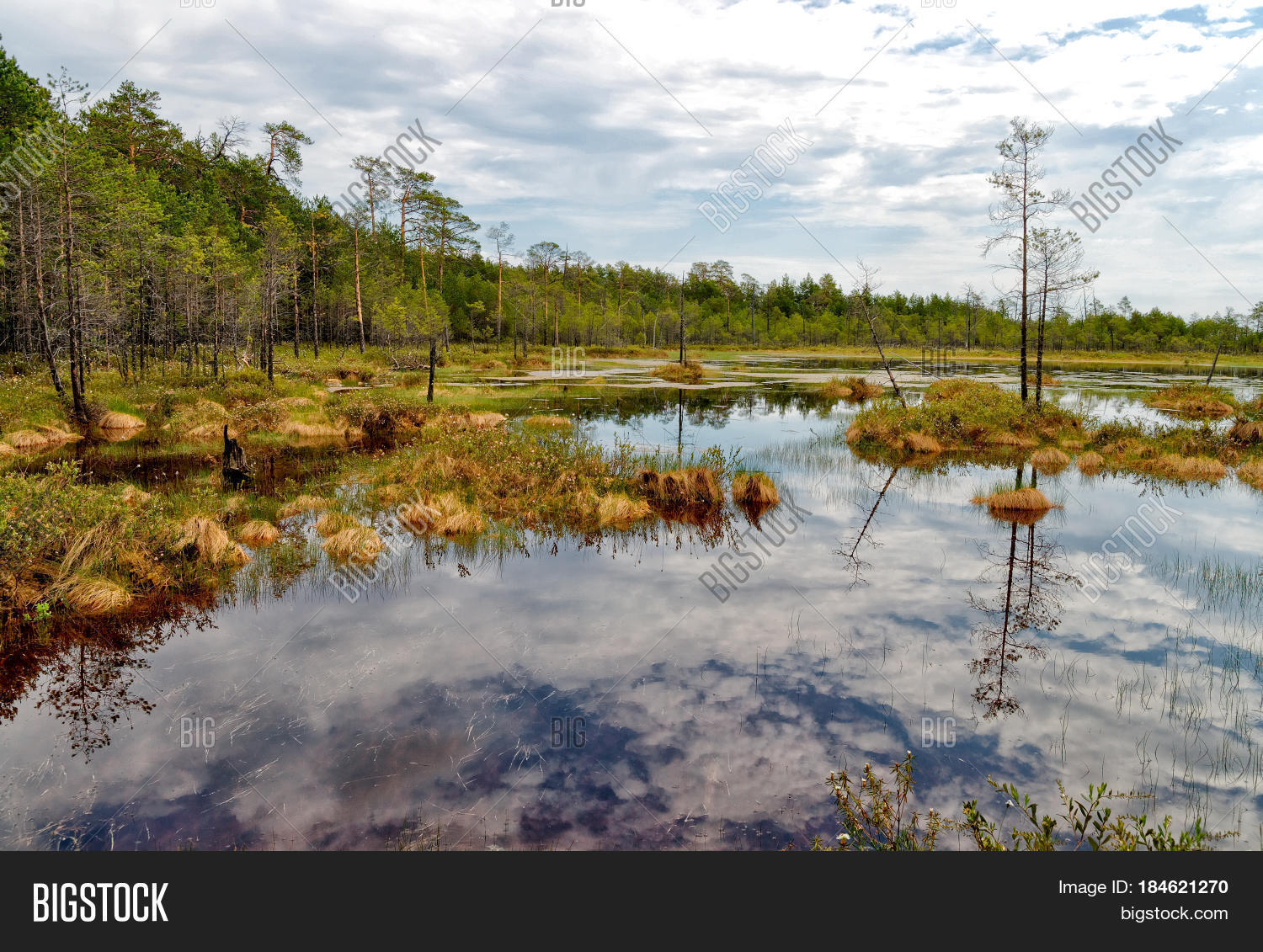 Summer. Impenetrable Image & Photo (Free Trial) | Bigstock