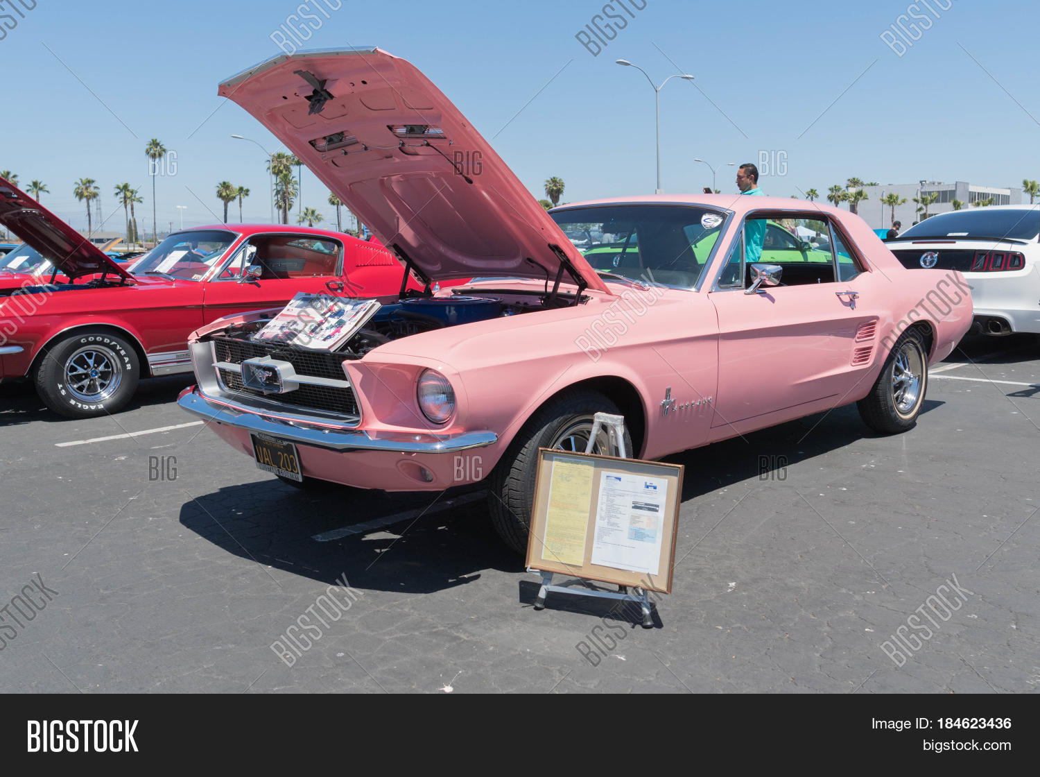 Pink Ford Mustang Image & Photo (Free Trial) | Bigstock
