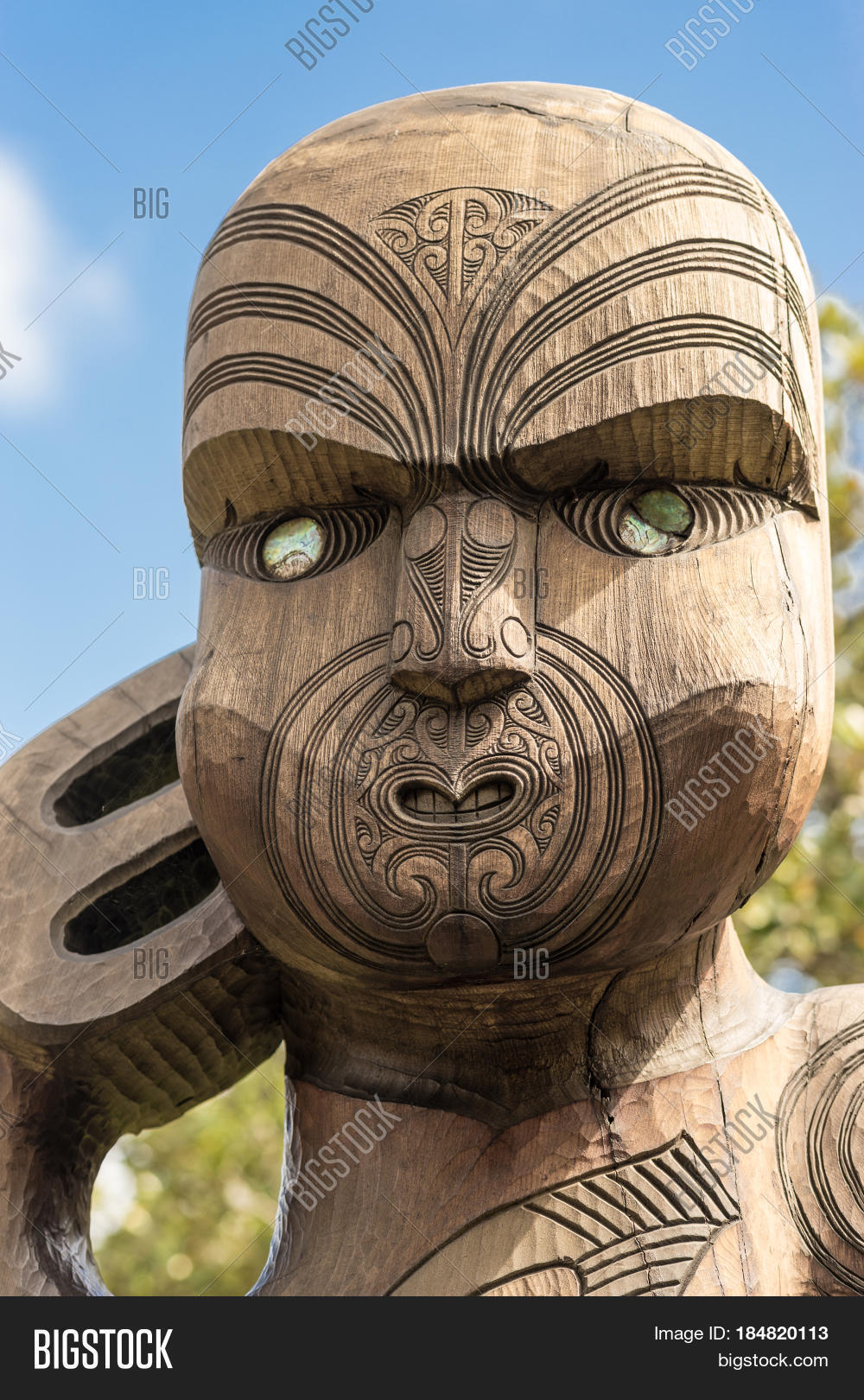 Auckland New Zealand Image & Photo (Free Trial) | Bigstock