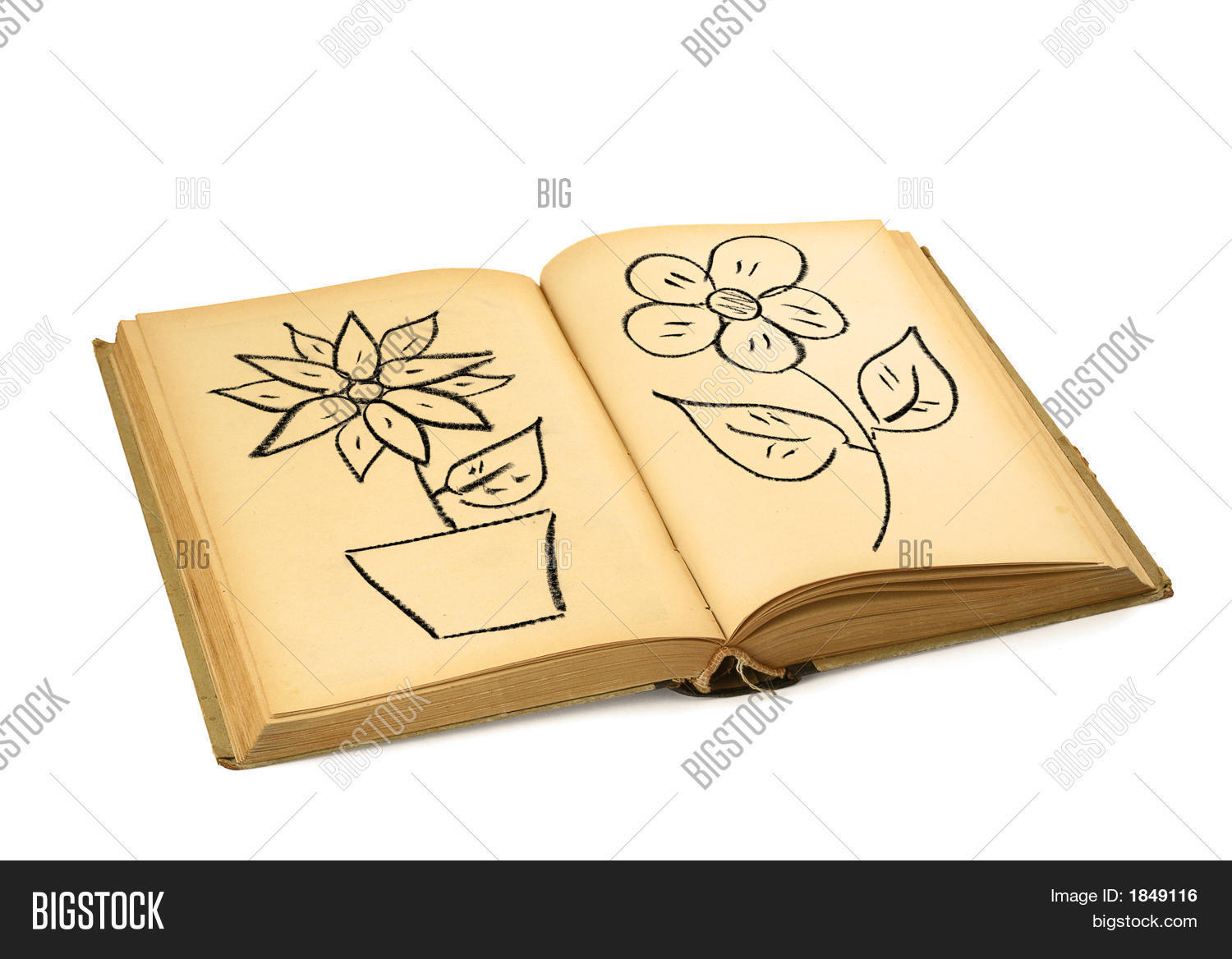 Book Flower Drawings Image & Photo (Free Trial) | Bigstock