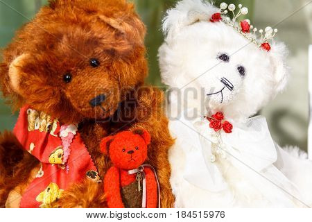 Beautiful Teddy Bears Image & Photo (Free Trial) | Bigstock