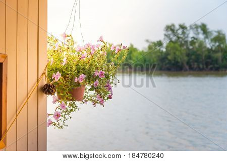 Flower Pot Hanging On Image & Photo (Free Trial) | Bigstock