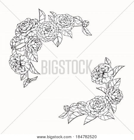 Camellia Flowers Vector & Photo (Free Trial) | Bigstock