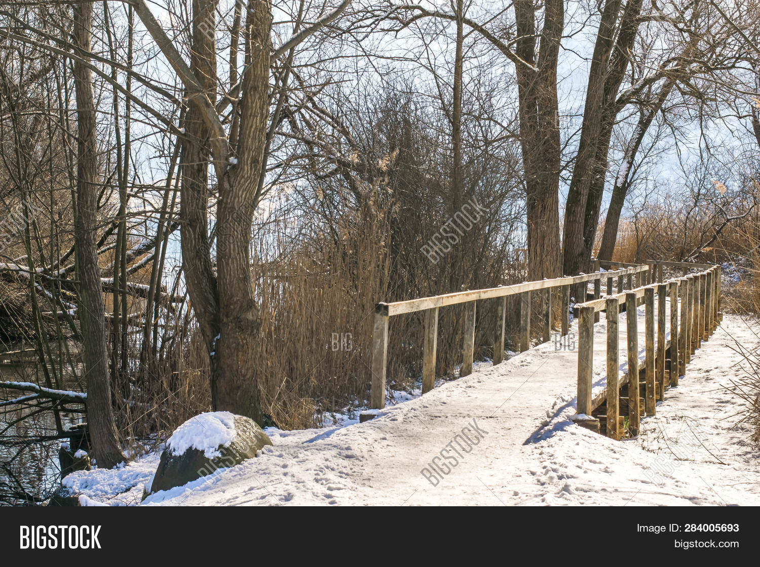 Bridge Into Forest Image & Photo (Free Trial) | Bigstock