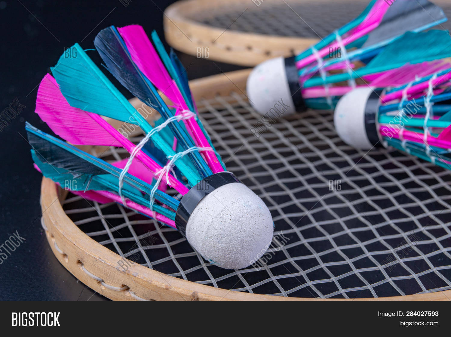 Colorful Feathers Image & Photo (Free Trial) | Bigstock