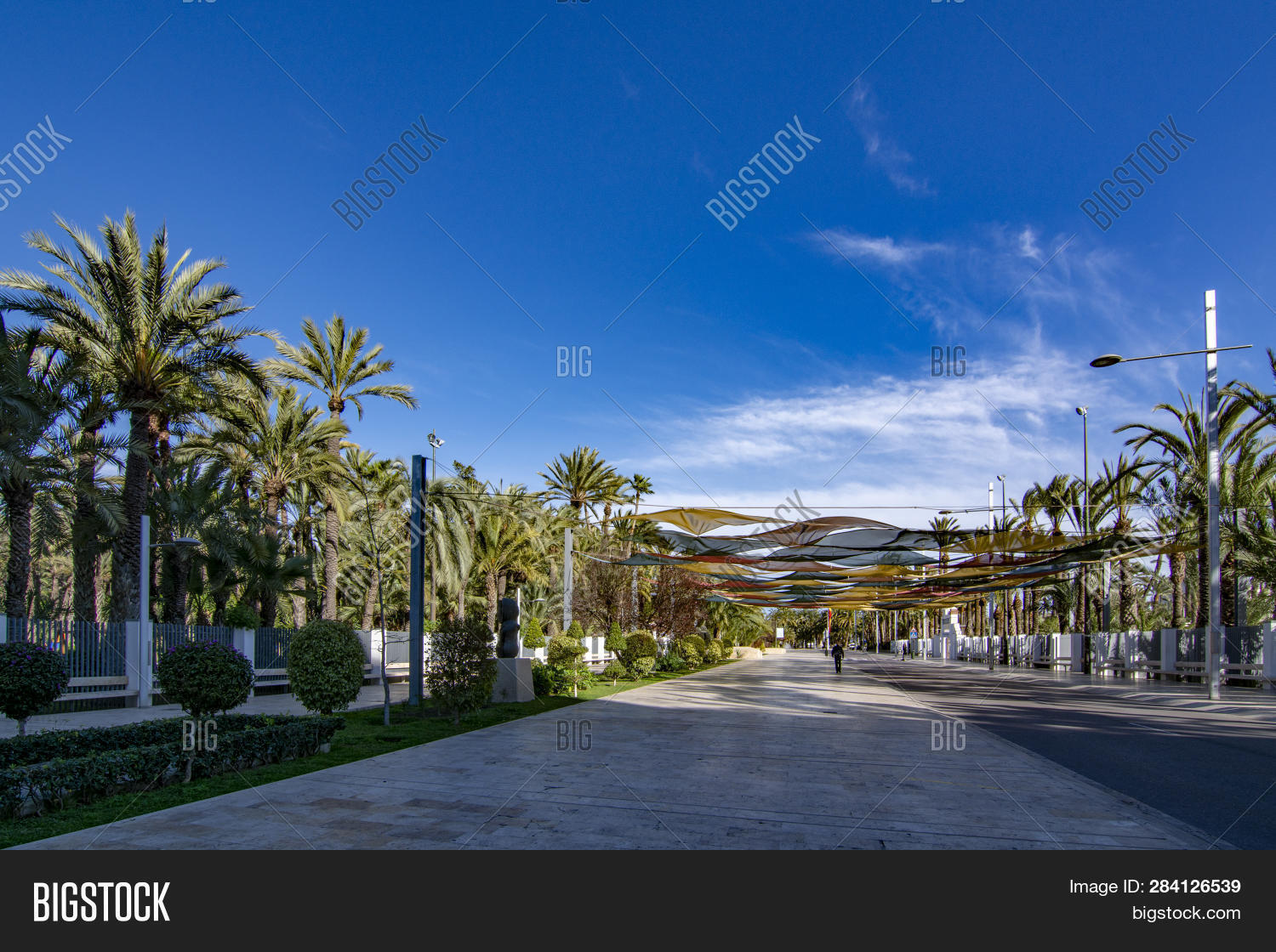 Elche, Alicante, Spain Image & Photo (Free Trial) | Bigstock