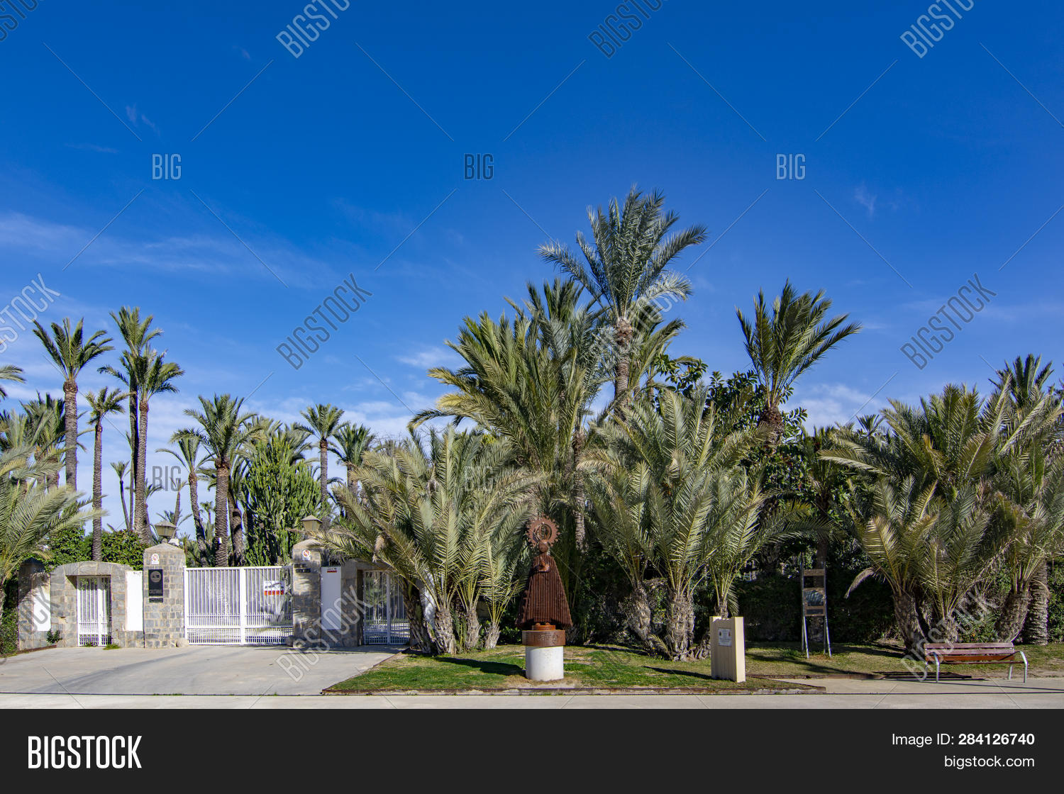 Elche, Alicante, Spain Image & Photo (Free Trial) | Bigstock