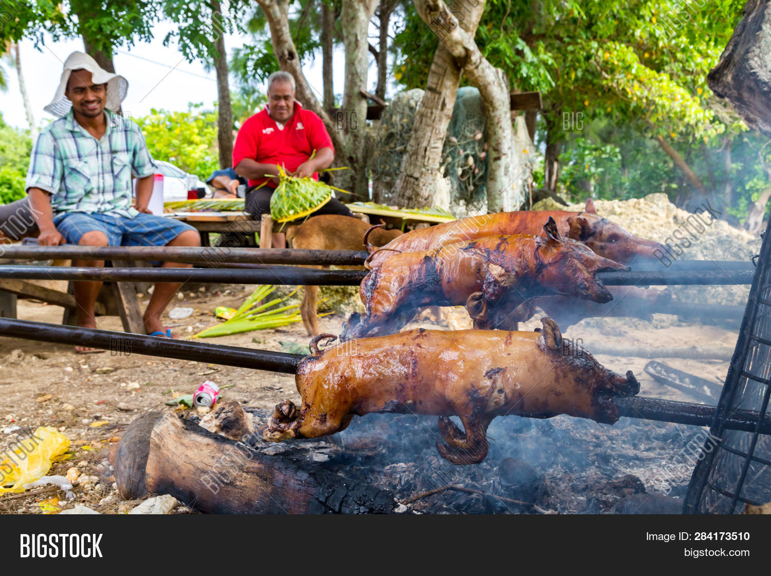 Imagen y foto Tongatapu, Tonga - (prueba gratis) | Bigstock