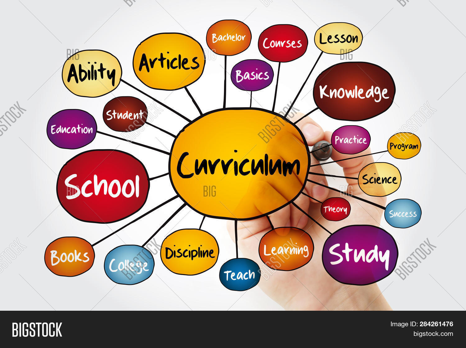 Curriculum Mind Map Image & Photo (Free Trial) | Bigstock