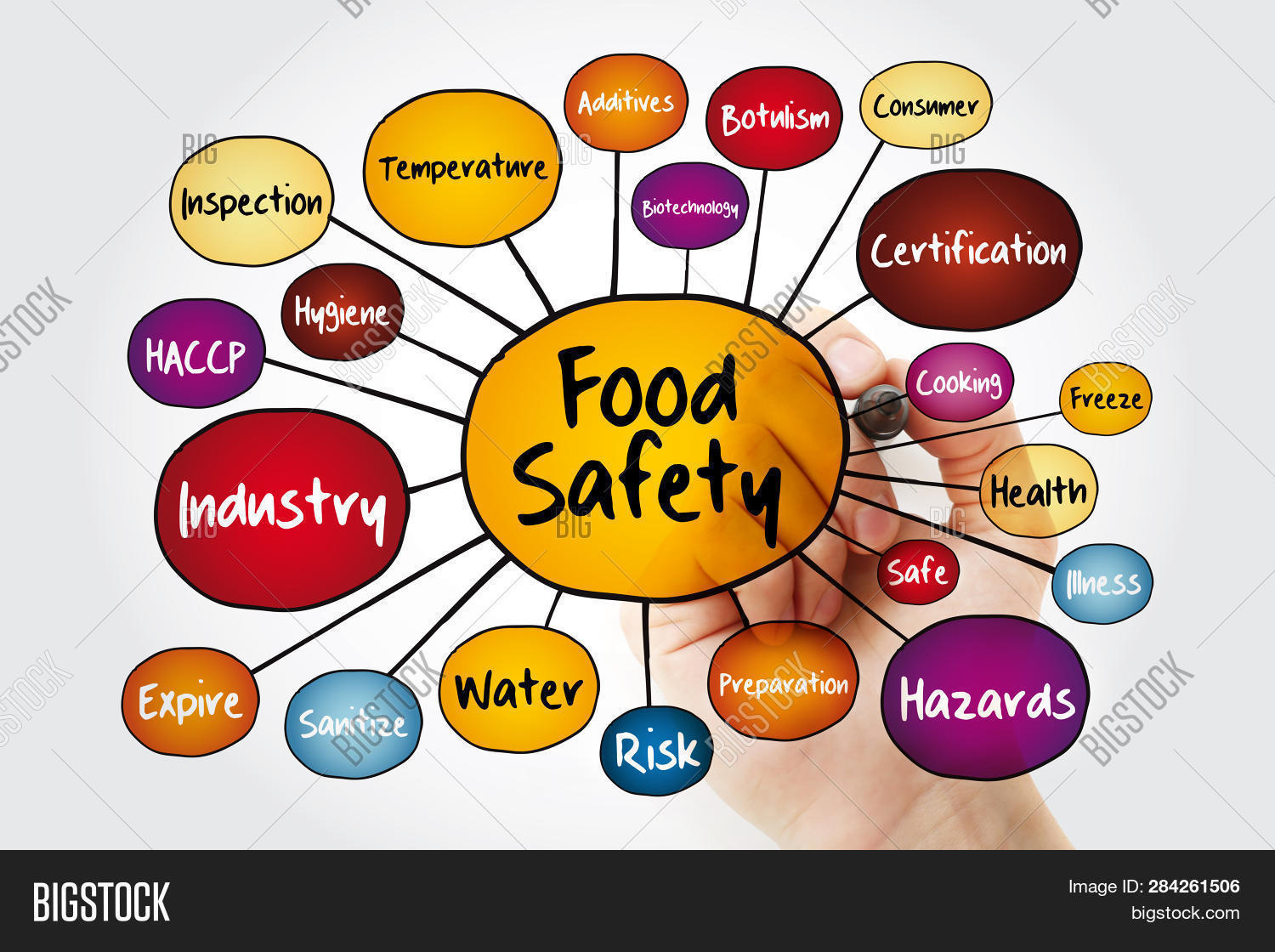 Food Safety Mind Map Image & Photo (Free Trial) | Bigstock