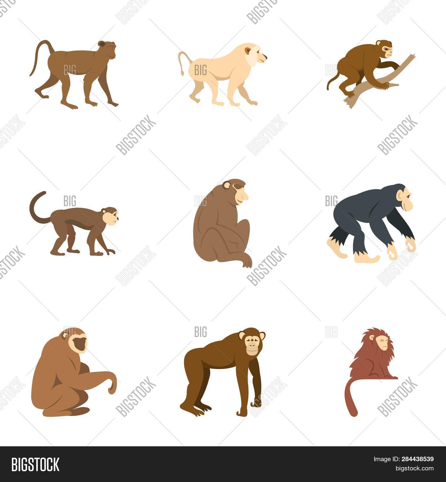 Monkey Icon Set. Flat Image & Photo (Free Trial) | Bigstock