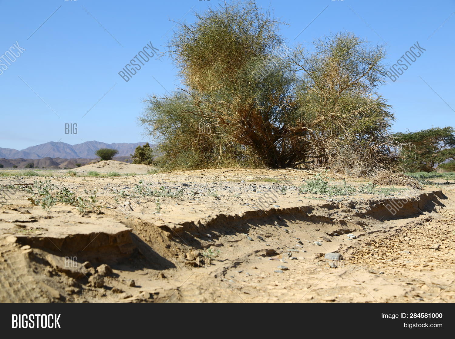 Cracked Ground Desert Image & Photo (Free Trial) | Bigstock