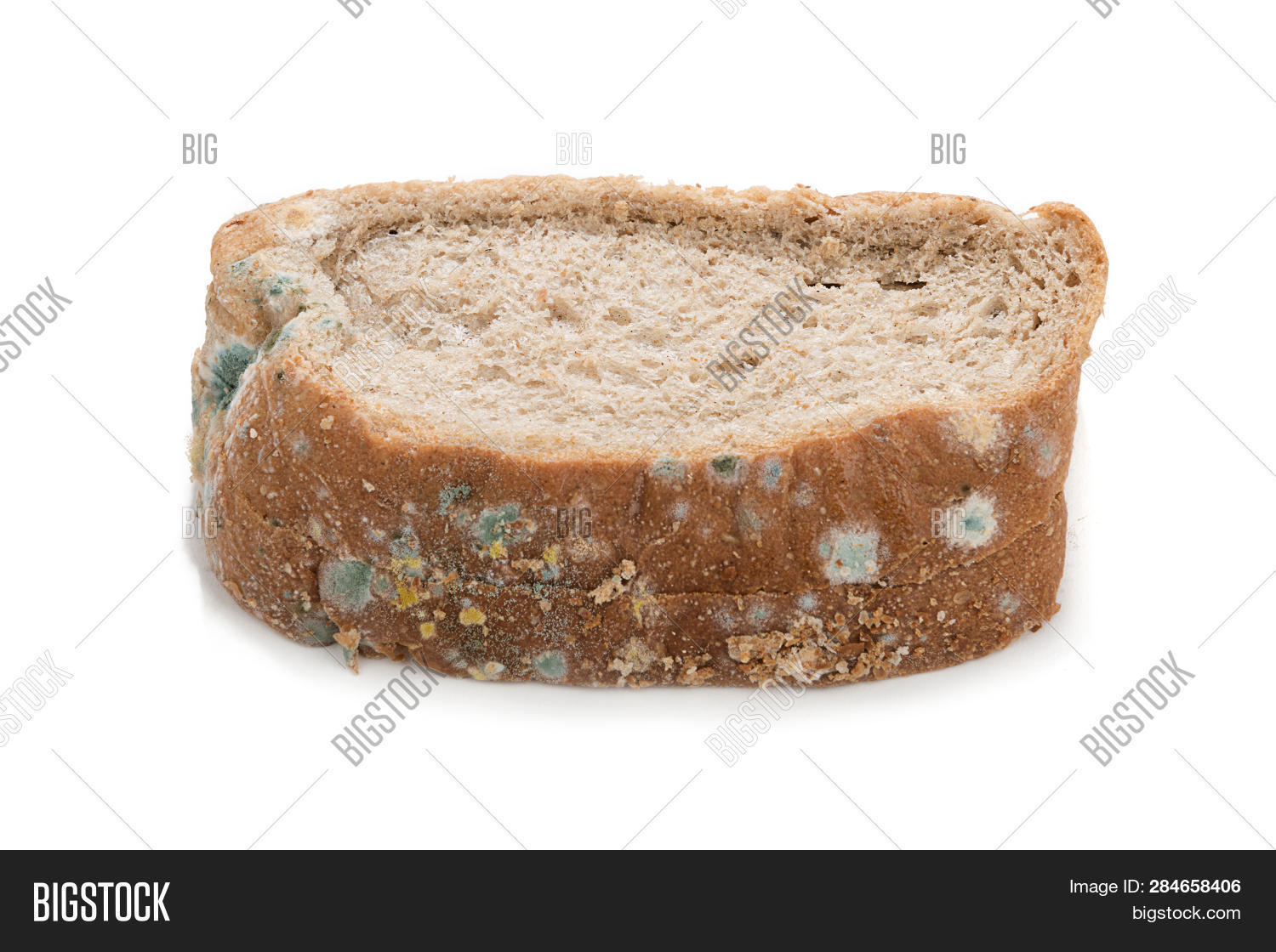 Blue Mold Covers Slice Image & Photo (Free Trial) | Bigstock